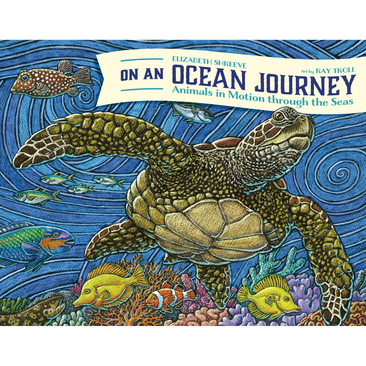 On An Ocean Journey – Animals in Motion by Elizabeth Shreeve ...